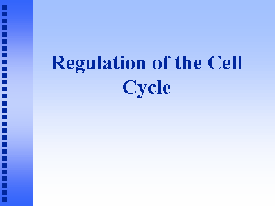Regulation of the Cell Cycle