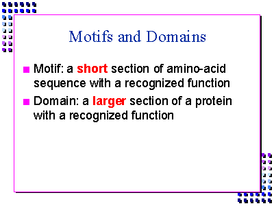 Motifs and Domains