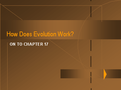 How Does Evolution Work?