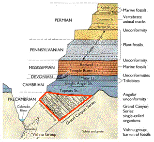 Geologic Layers Of The Grand Canyon